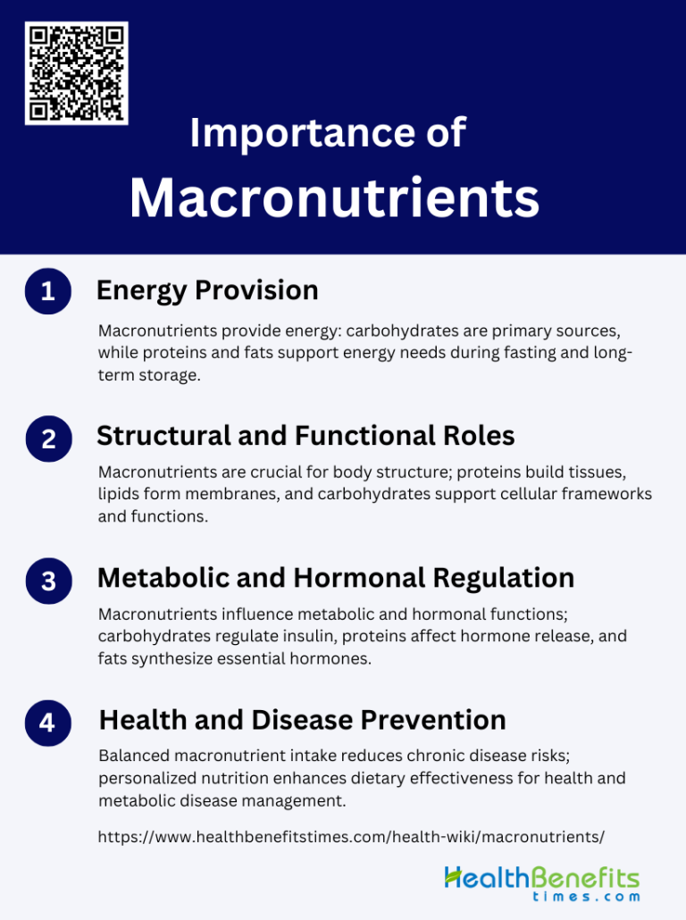 What is Macronutrients: Definition, importance, and food sources ...