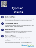What are Tissues: Types and Functions - Health Benefits