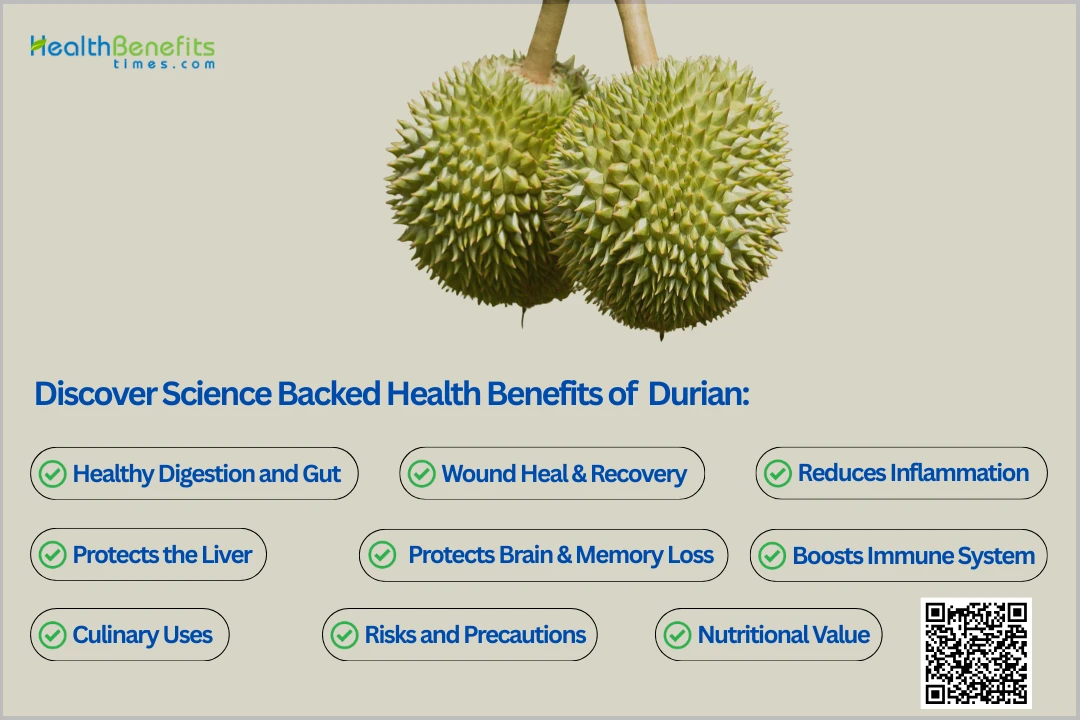 Science Backed Health Benefits of Durian (Durio zibethinus) - Health Benefits
