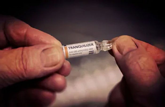 Tranquilizer - Definition of Tranquilizer