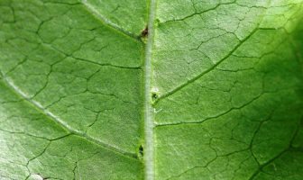 Glossary - Page 1368 of 1962 - Difinitions