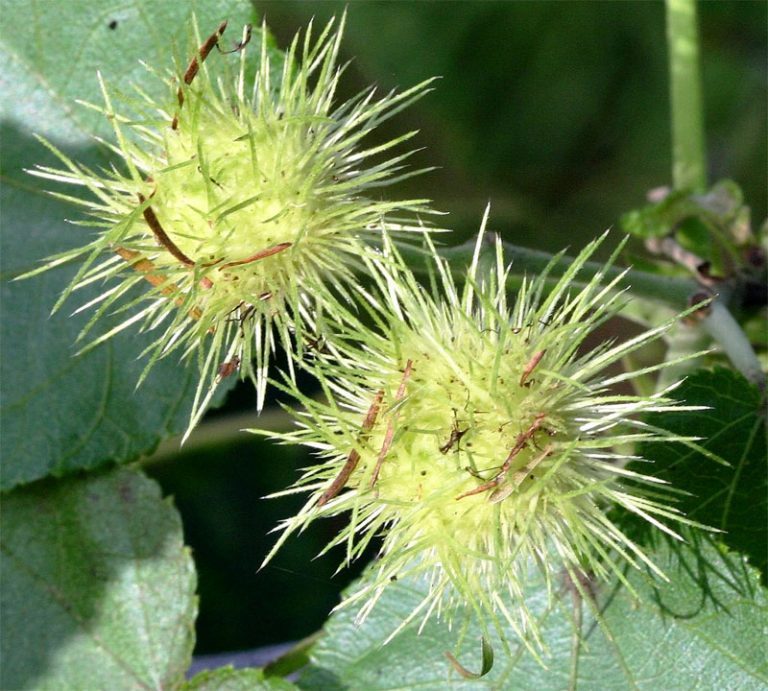 Glossary - Page 5087 of 5676 - Difinitions