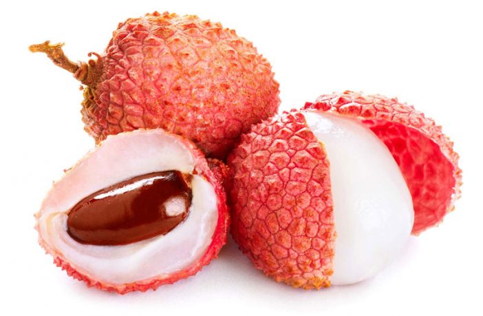 Aril - Definition of Aril