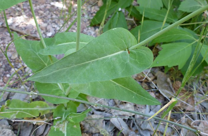 Clasping - Definition of Clasping