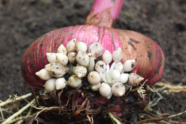 Glossary, Author at Glossary - Page 3618 of 4283