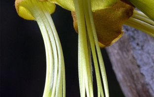 D Archives - Page 117 of 153 - Glossary