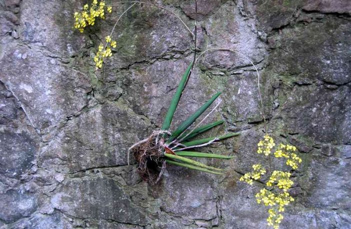 Glossary - Page 7137 of 7831 - Difinitions