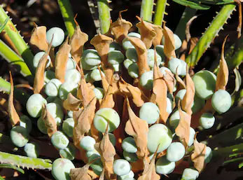 M Archives - Page 142 of 186 - Glossary