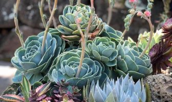 Glossary - Page 774 of 1564 - Difinitions