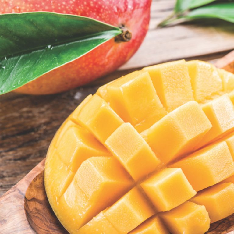 Fruit Pulp Definition Of Fruit Pulp Fruit Pulp Definition Of Fruit Pulp