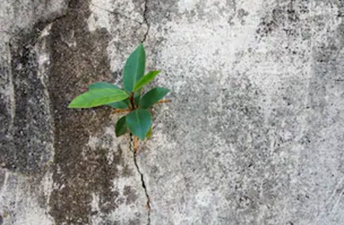 Persistent - Definition of Persistent