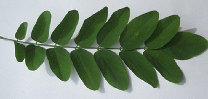 P Archives - Page 350 of 425 - Glossary