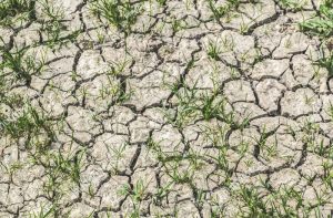 Rim - Definition of Rim