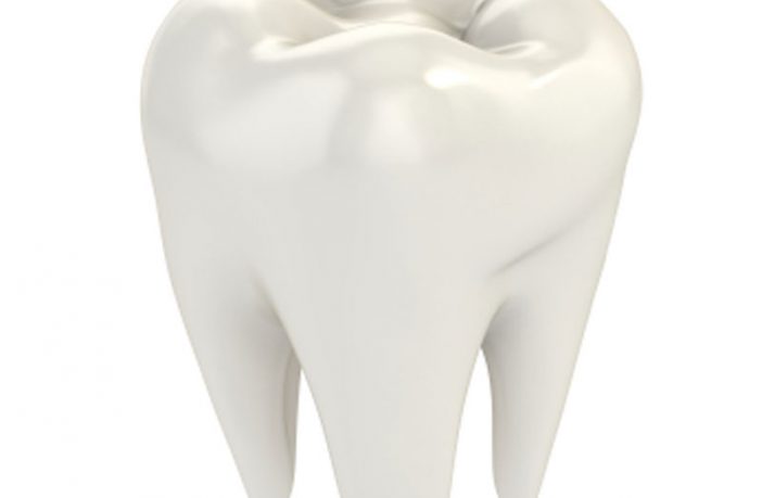 Tooth - Definition of Tooth