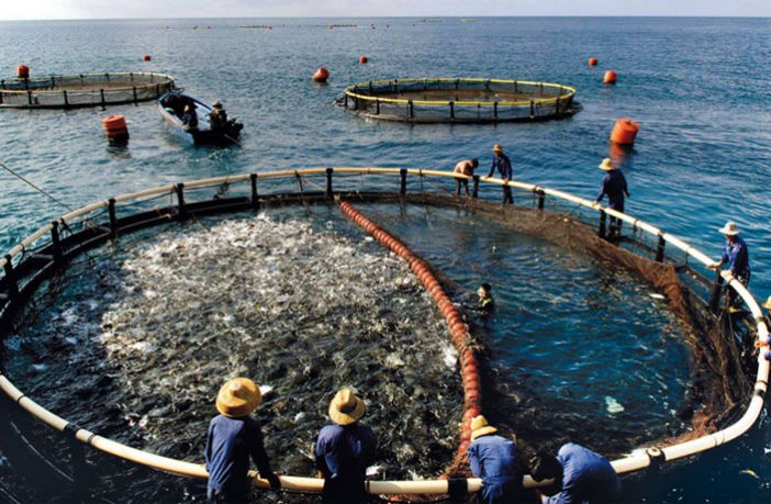 Mariculture - Definition of Mariculture