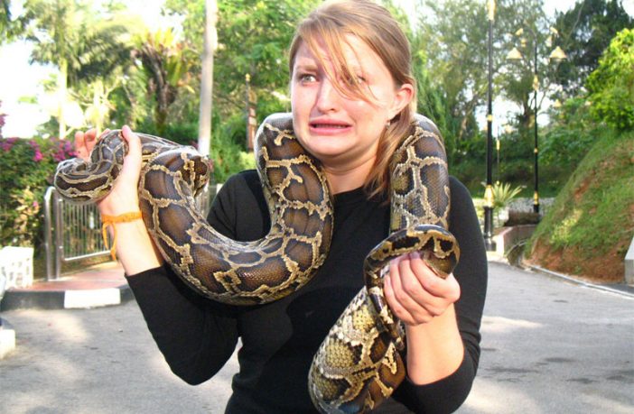 Ophidiophobia - Definition of Ophidiophobia