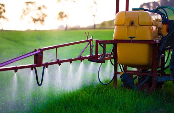 Pesticide - Definition of Pesticide