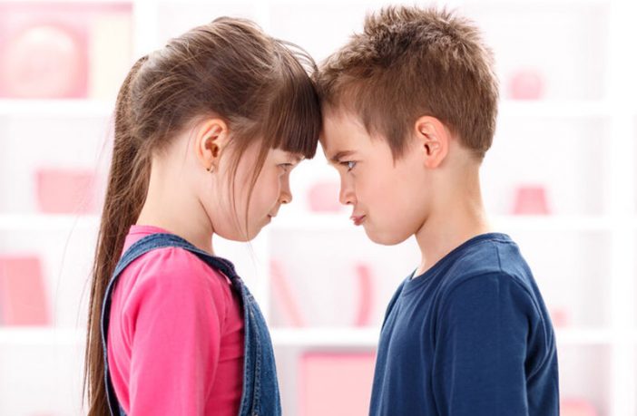 Sibling rivalry - Definition of Sibling rivalry