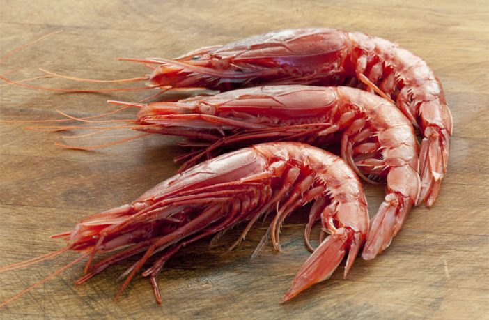 Prawn - Definition of Prawn