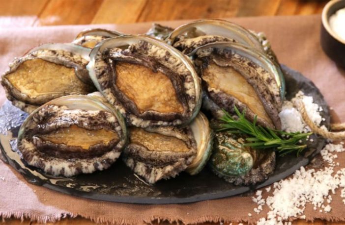 Abalone - Definition of Abalone
