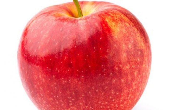 Apple - Definition of Apple