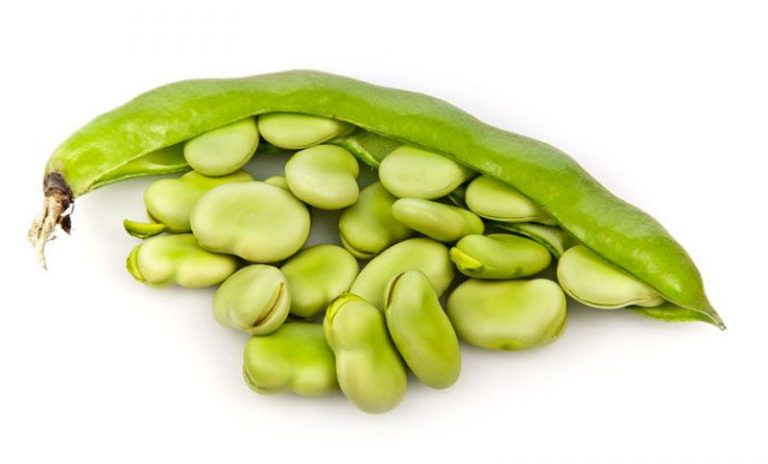 Bean - Definition of Bean