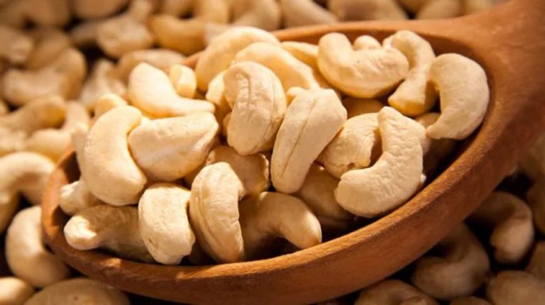 Cashew - Definition of Cashew