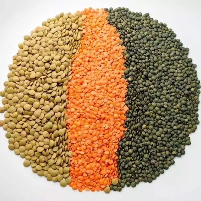 Lentil Definition Of Lentil