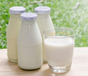 Milk - Definition of Milk