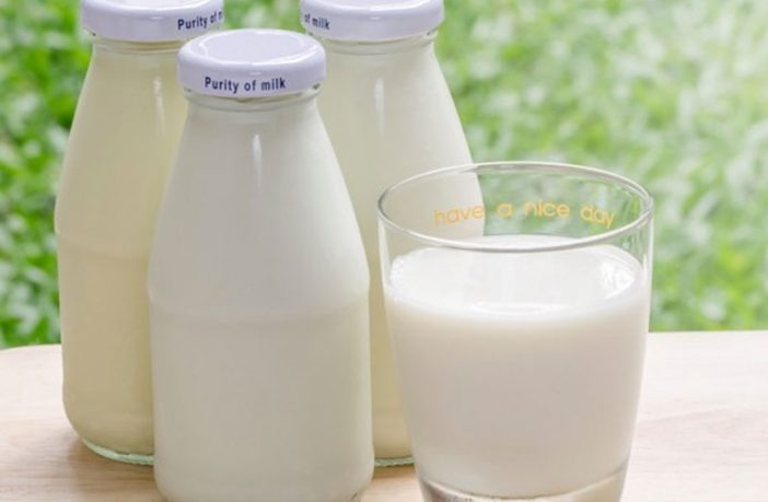 Milk - Definition of Milk