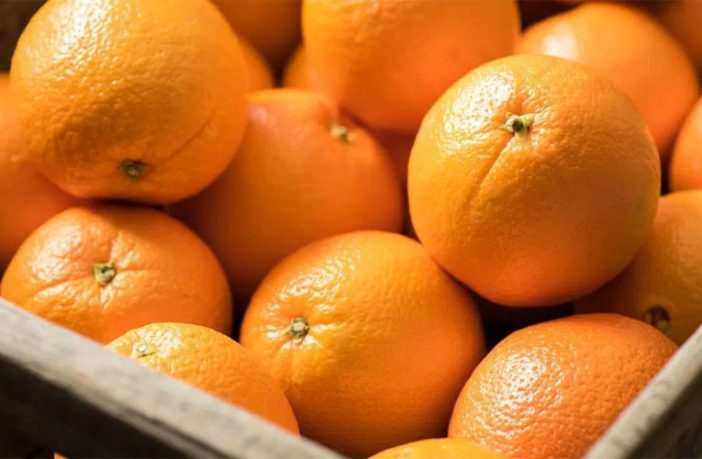 Orange - Definition of Orange