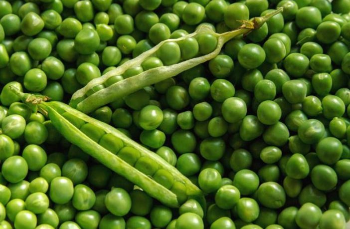 Pea - Definition of Pea