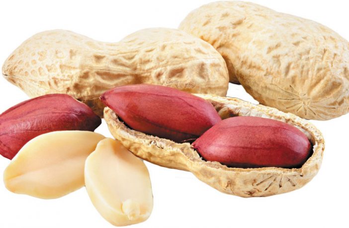 Peanut - Definition of Peanut