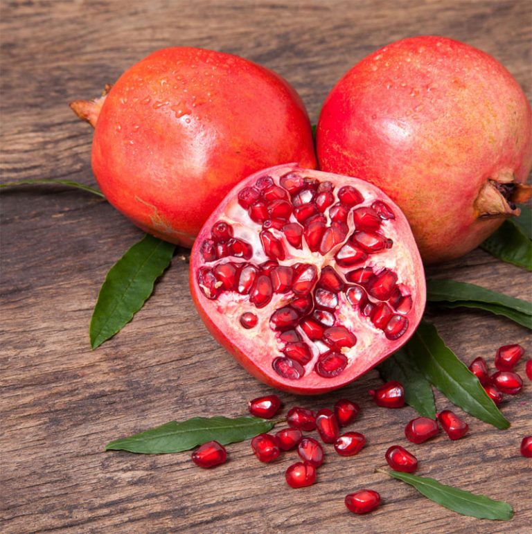 Pomegranate - Definition of Pomegranate