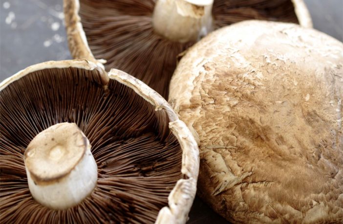 Portobello - Definition of Portobello