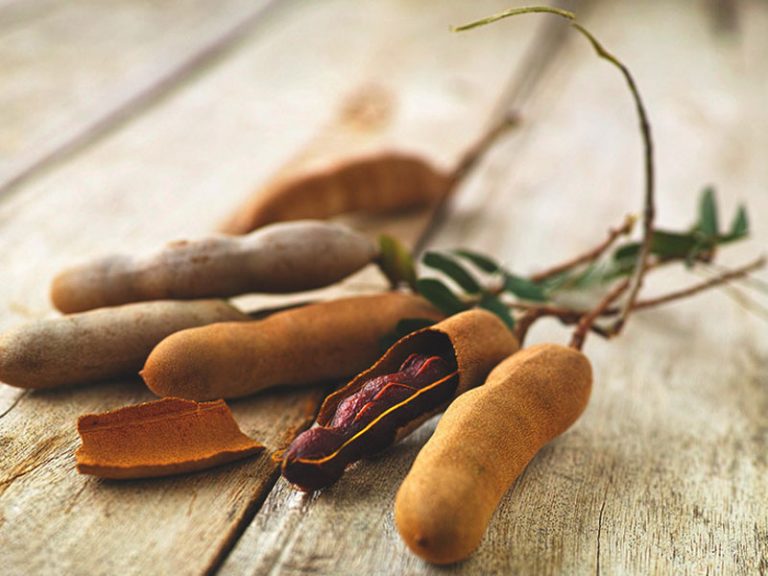 Tamarind - Definition of Tamarind