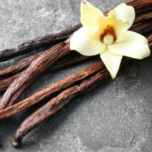 Vanilla - Definition of Vanilla