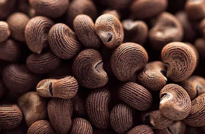 Ambrette - Definition of Ambrette