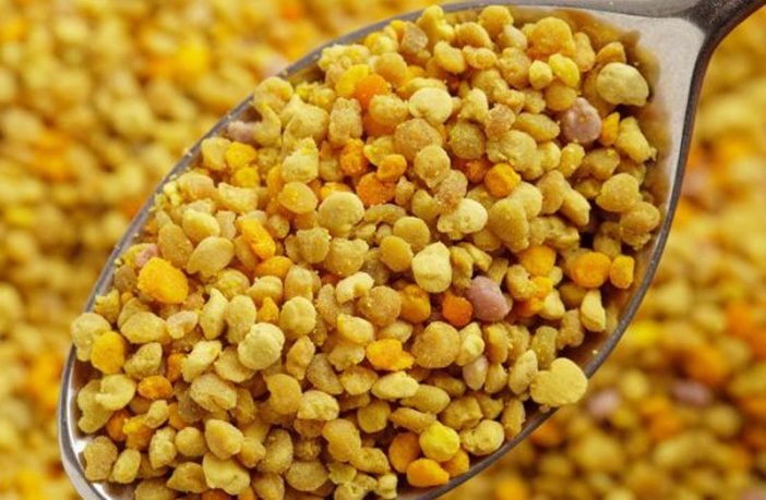 Bee Pollen - Definition of Bee Pollen