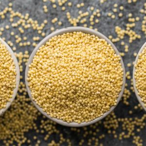Millet - Definition of Millet