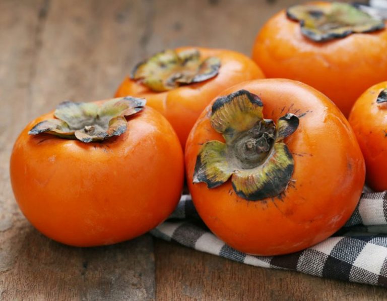 Persimmon - Definition of Persimmon