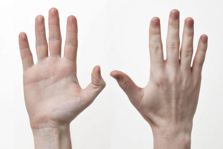 Hand Definition Of Hand