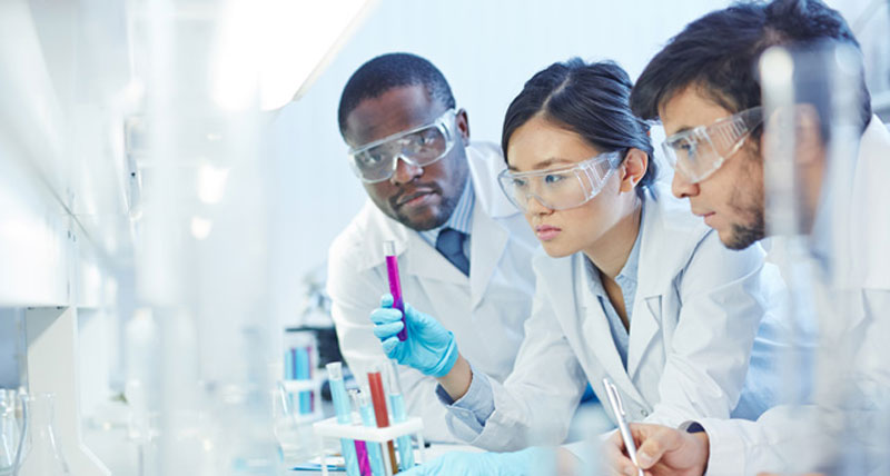 Professional careers - Definition of Professional careers