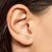 Ear - Definition of Ear