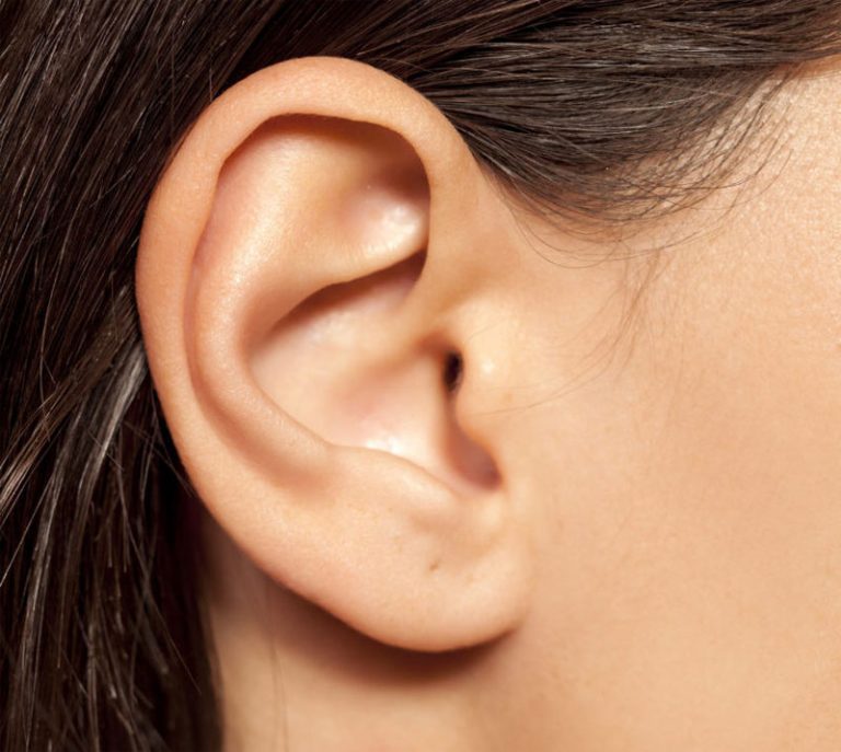 Ear - Definition of Ear