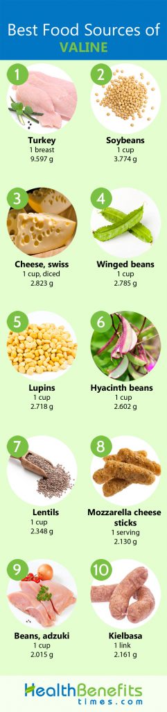 Valine Facts and Health Benefits | Nutrition
