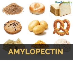 Amylopectin Facts and Health Benefits | Nutrition