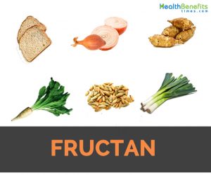 Fructan Facts and Health Benefits | Nutrition