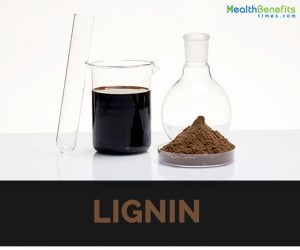 Lignin Facts and Sources | Nutrition