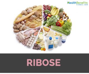 Ribose Facts and Health Benefits | Nutrition